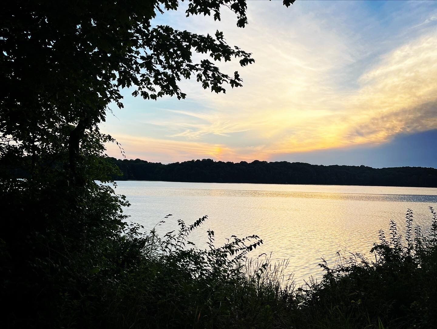 The Mindful Path - Compassion Through Meditation